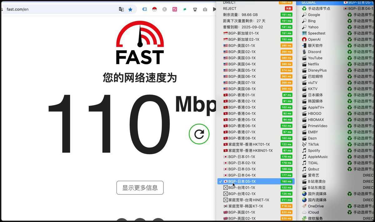 注意！wallless vpn 主站打不开，别登录其他网站上当了！