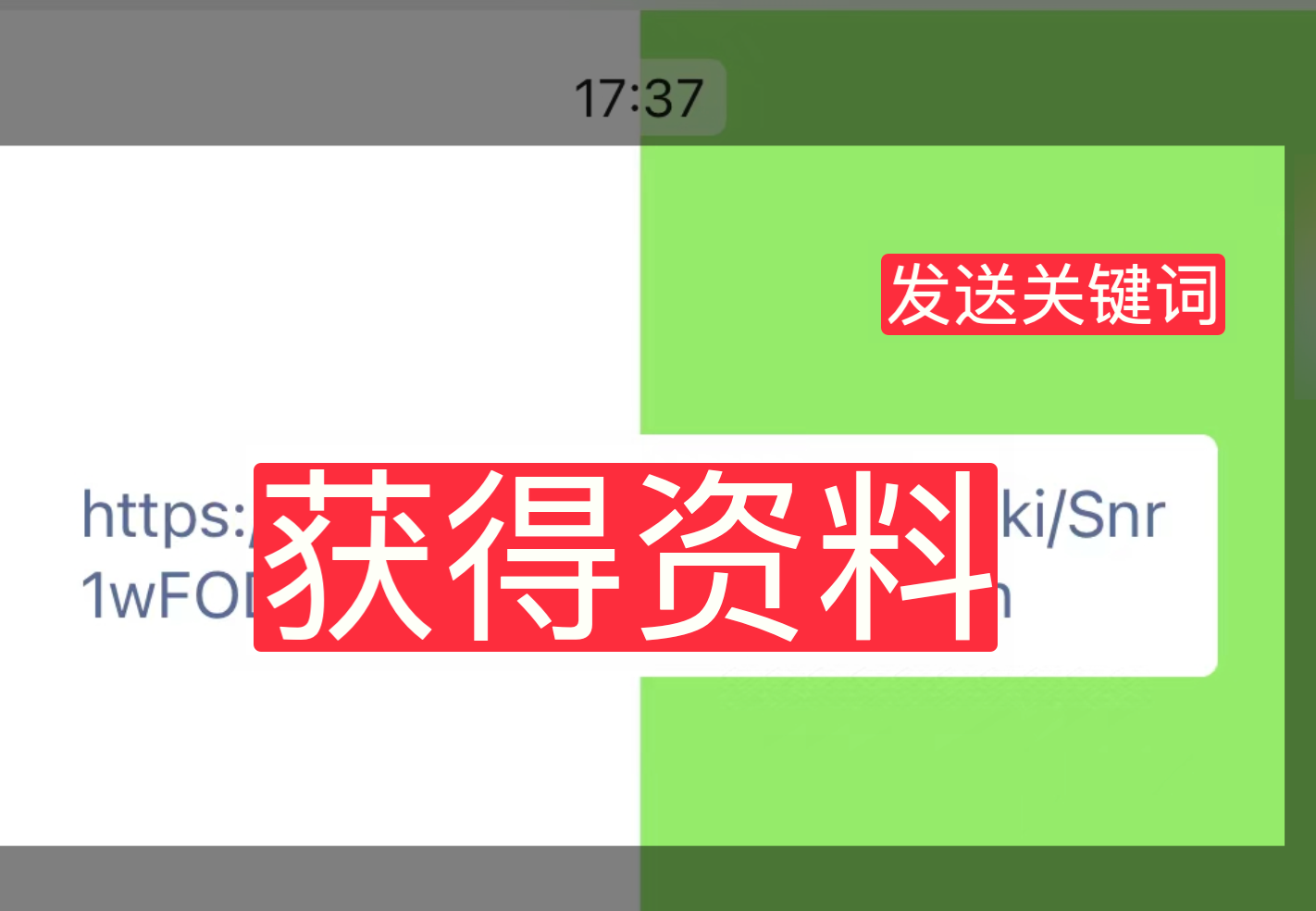 注意！wallless vpn 主站打不开，别登录其他网站上当了！