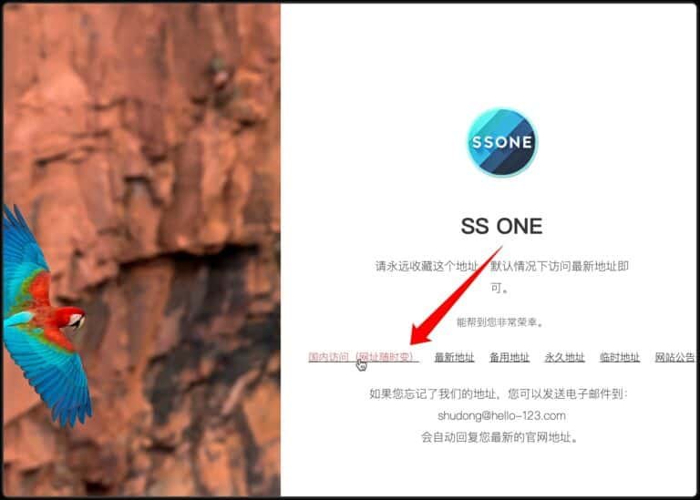 注意！wallless vpn 主站打不开，别登录其他网站上当了！